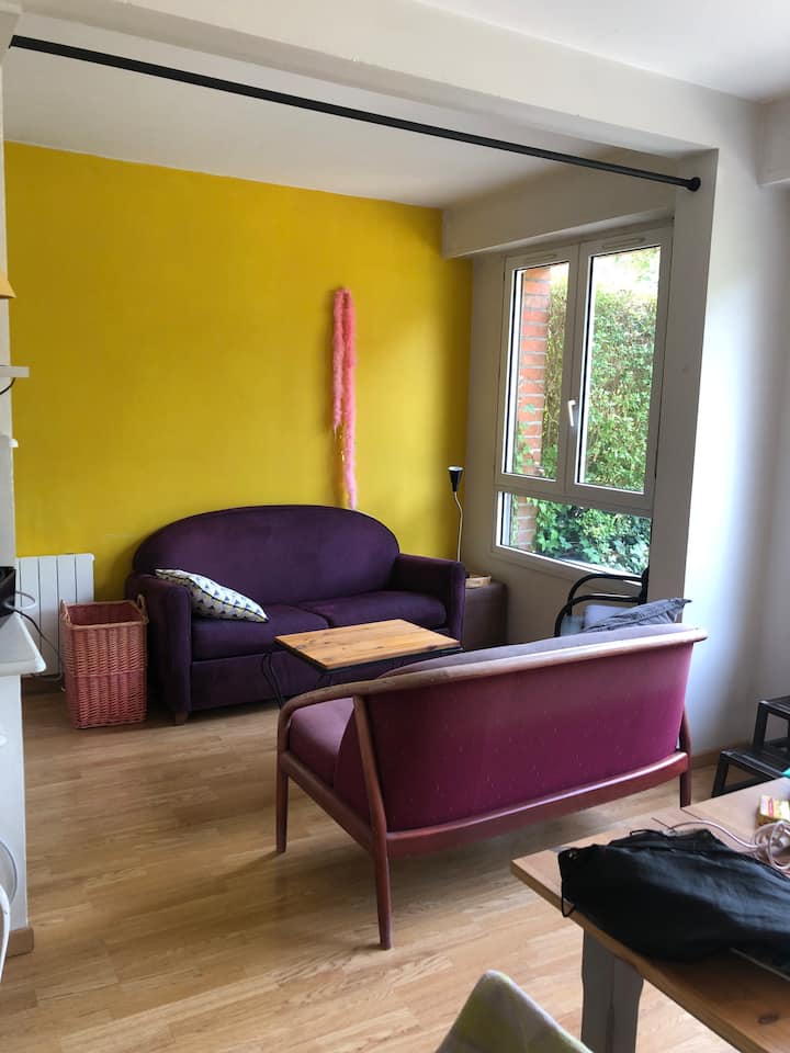 Au Calme, Appart Lumineux à Lille Avec Jardin - ibis budget Lille Centre