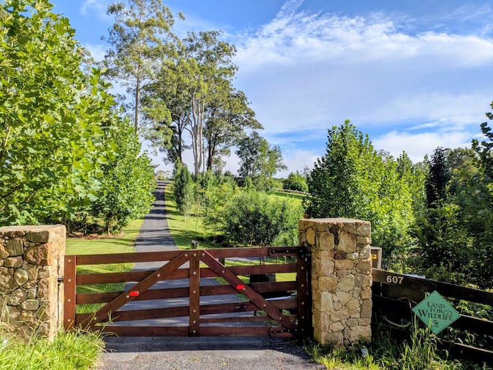 'Cloud Valley Cottage' Escape To The Promised Land - Bellingen