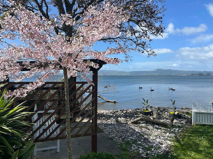 Fabulous Lakefront House-private Lake Access - Rotorua