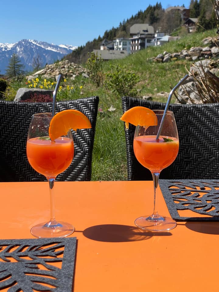 Petit Nid Dans Un Coin De Paradis - Leysin