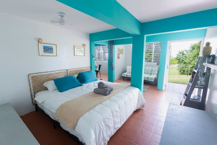 1bd Apartment, King Bed, Jacuzzi, Bbq In Arecibo - Puerto Rico