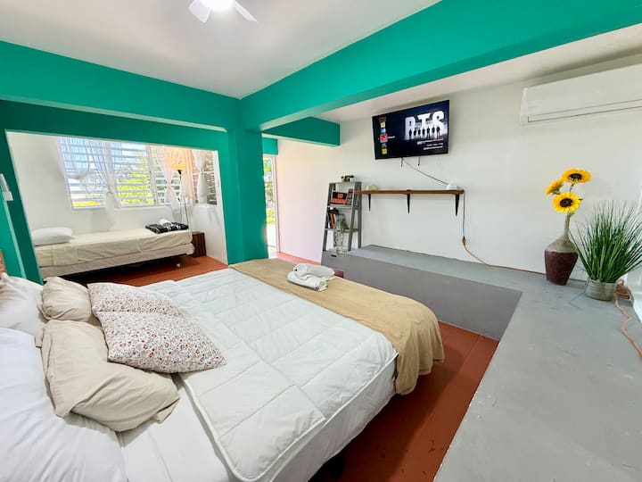 King Bed/jacuzzi/bbq - Arecibo