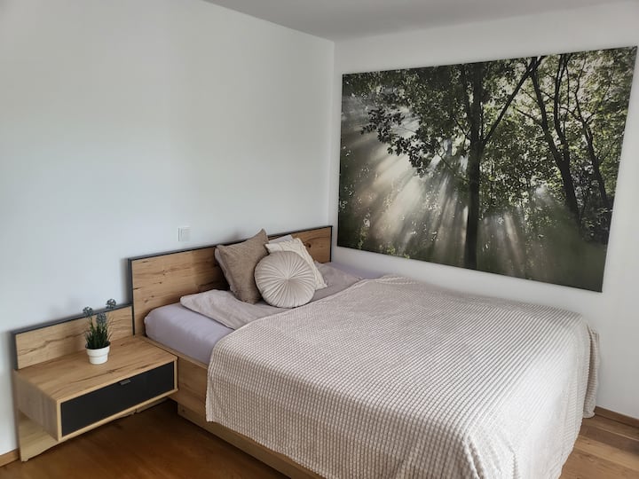 1-zimmer Apartment Mit Sauna Und Chill-out Lounge - Bonn