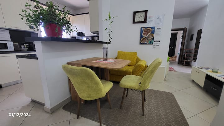 7.single Room, In Front Of Bus Stop (Main Street) - Tirana