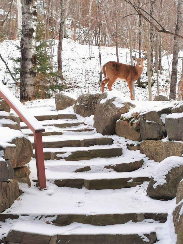 Oh The View! Ski In/out Walk Or Shuttle To Village - Mont-Tremblant