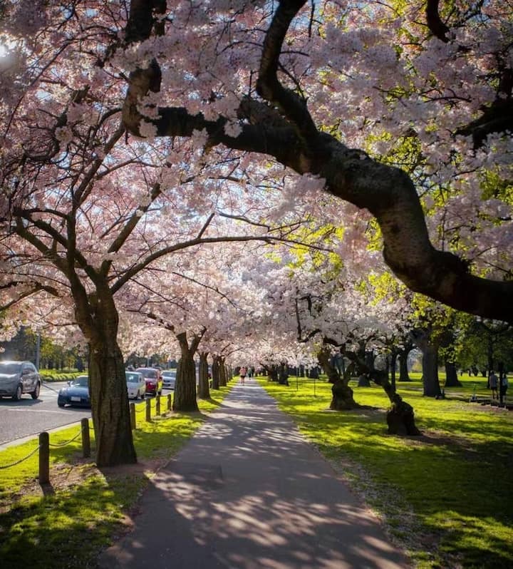 Park View On Hagley Park - Christchurch