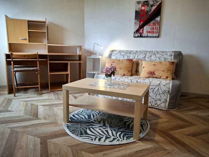 Studio Calme Et Fonctionnel Au Centre Ville - Toulouse