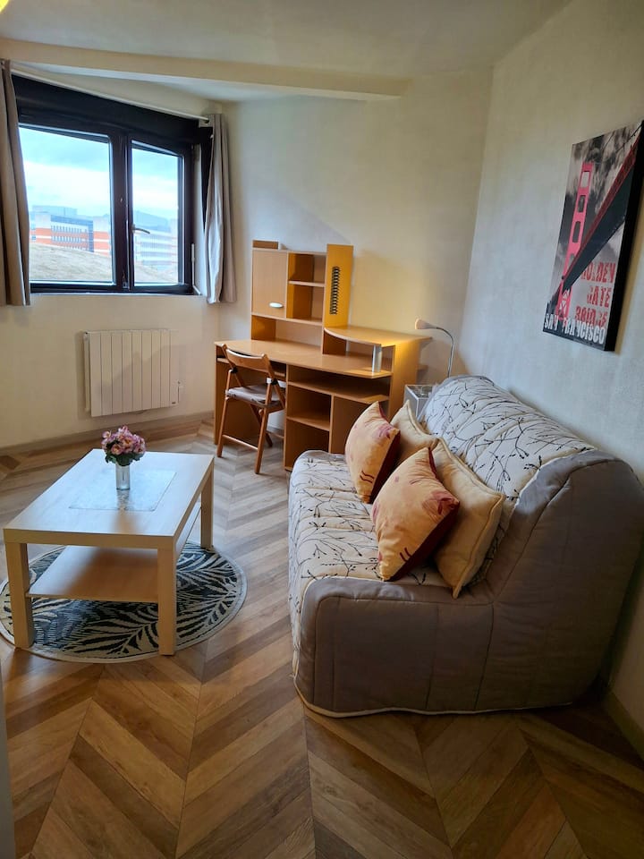 Studio Calme Et Lumineux En Centre Ville - Toulouse