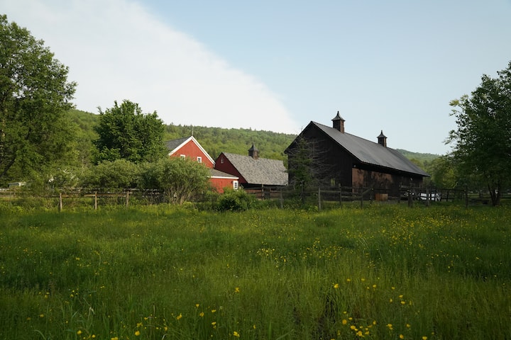 The Maple Suite, Green Mountain Farm Countryside - Grafton, VT