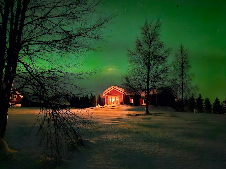 Chalet Sidensvans - Stuga Sidensvans - Suède