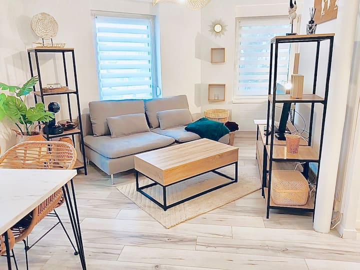 Joli Appartement  Entièrement éQuipé - Hœnheim
