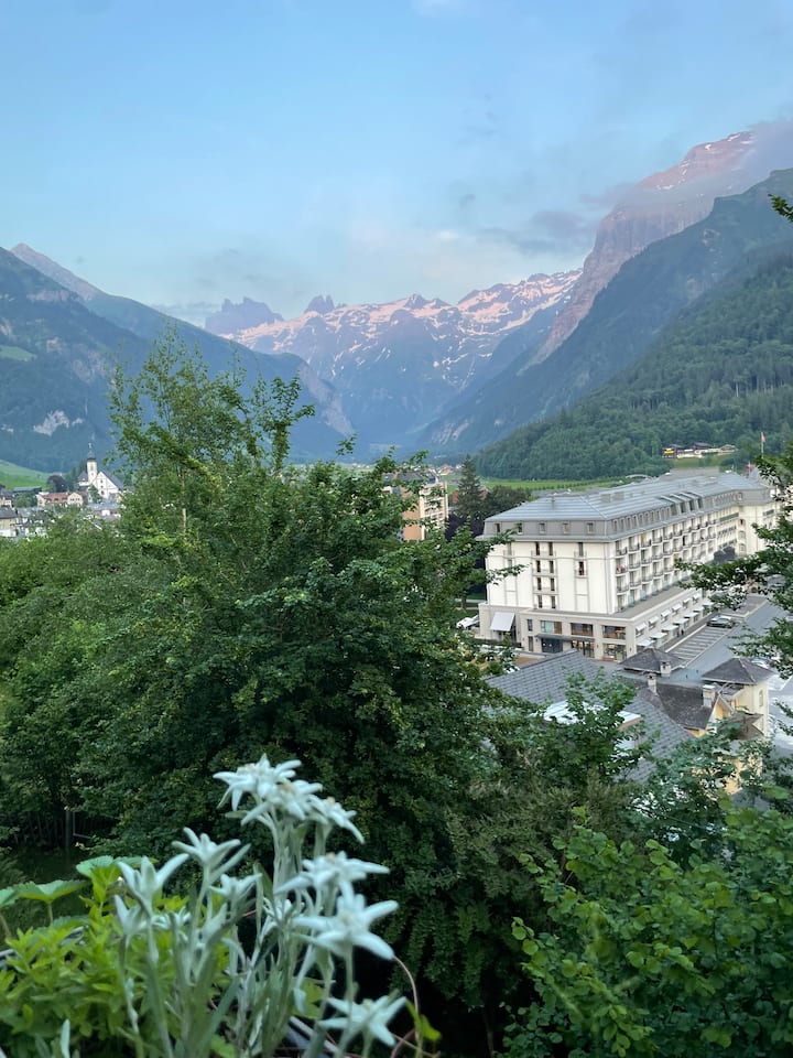 Engelberg (4-6 Pers.), Maison Avec Vue - Engelberg