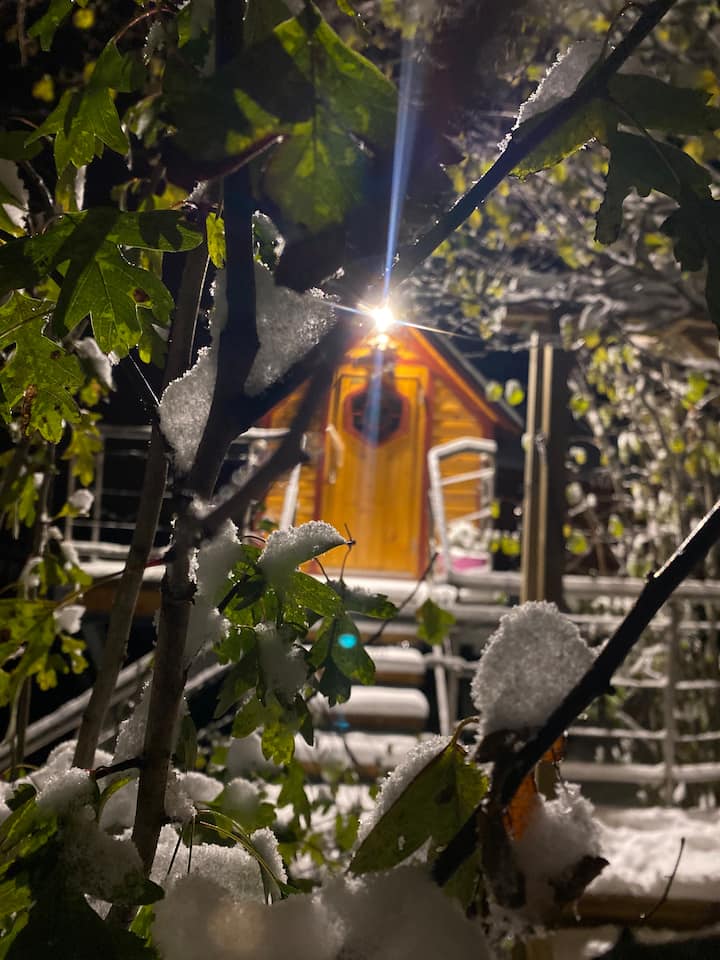 Le Féérik – Nuit Perchée & Filet Suspendu à 6m - Foncine-le-Haut