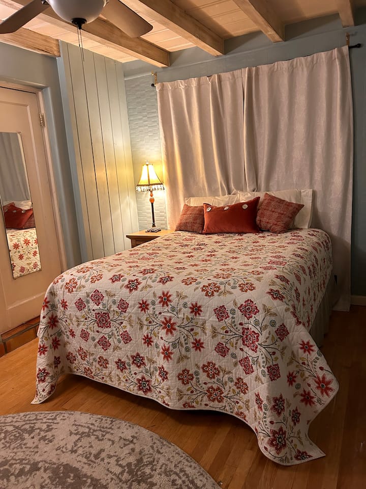 Airy Bedroom Near Reid Park, Zoo - Tucson, AZ