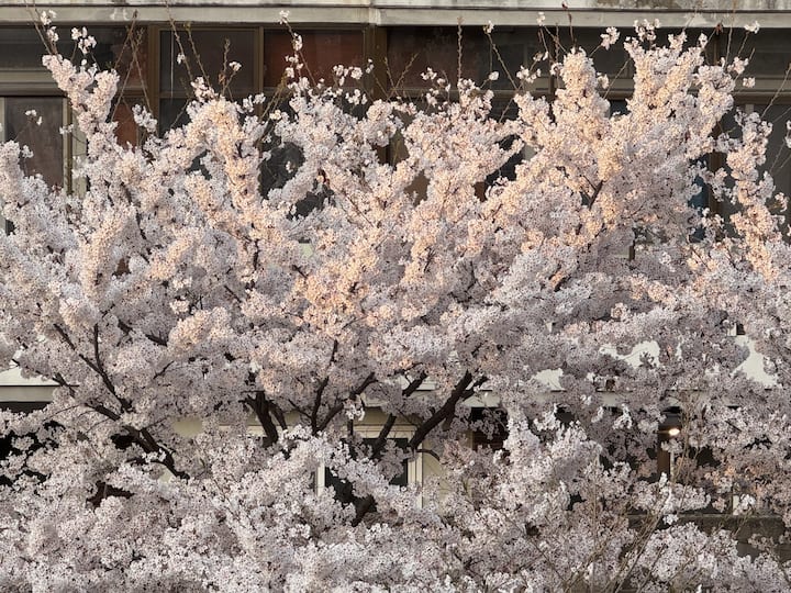 🥂A Day In An Enchanting Space! Shinchon-hongdae - Seoul