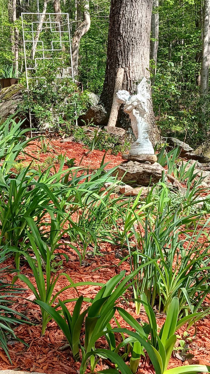 Get Off The Grid & Find Peace At Creekside Cabin! - Lake Lure, NC