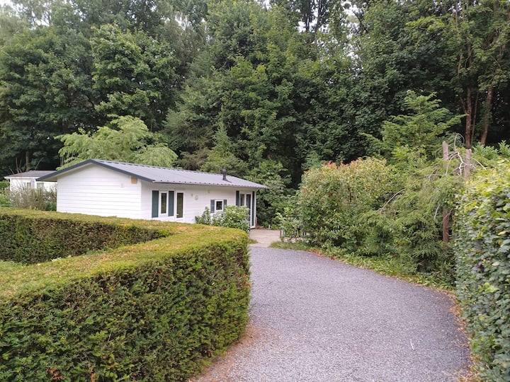 Bos Lodge Epe Op Grote Kavel Met Veel Privacy - Epe