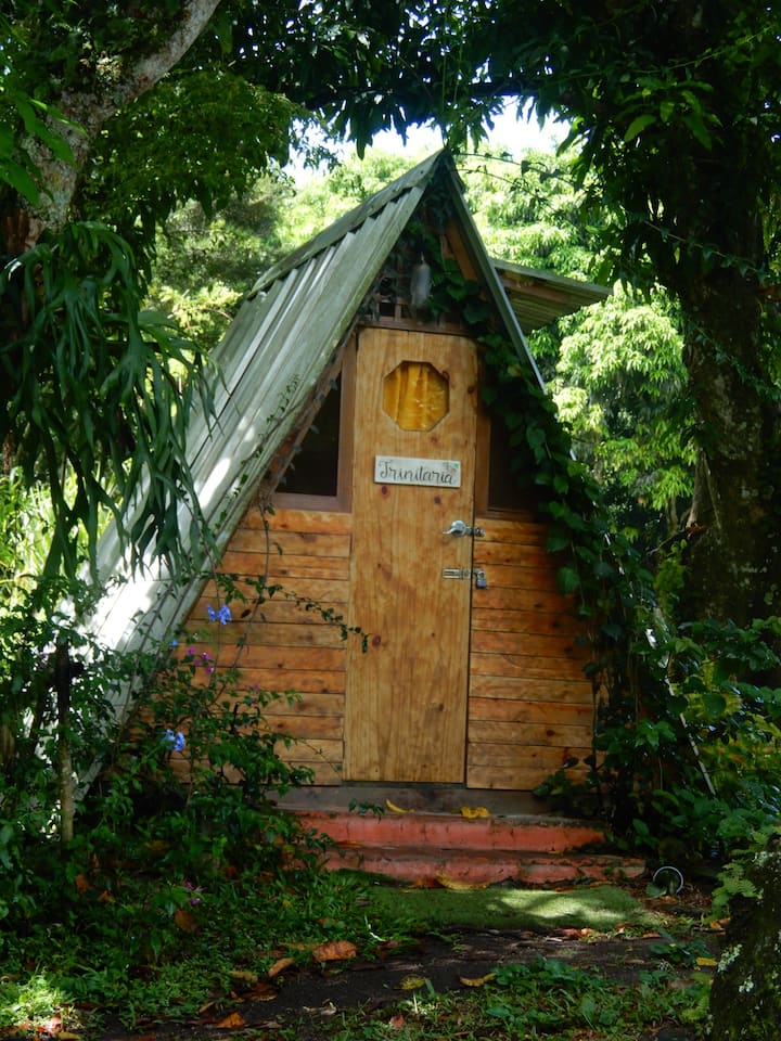 Tiny House (Trinitaria) En Eco Camping Jarabacoa. - Jarabacoa