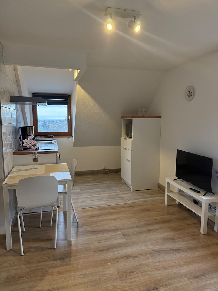 Studio Au Pied Des Vosges - Barrage de Michelbach