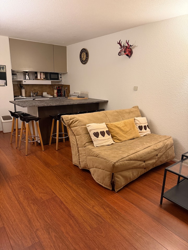 Appartement Cosy T1 Cabine à 100m Des Pistes - Ax-les-Thermes