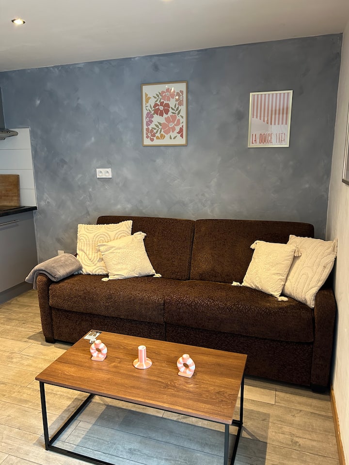 Studio Plein Centre Village Les Carroz D’araches - Cluses