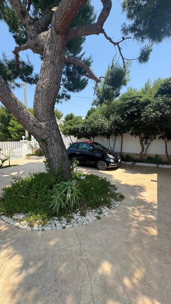 Villa Lucia Porto Cesareo 200 Mt Dal Mare - Italie