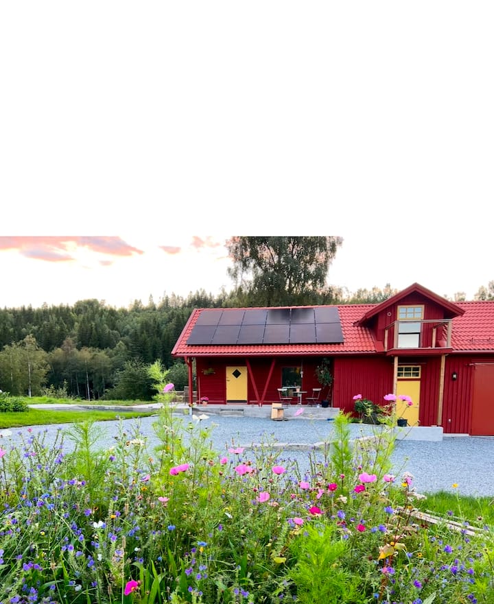 Lilla Huset Vid Sjön. Annexet. - Suède