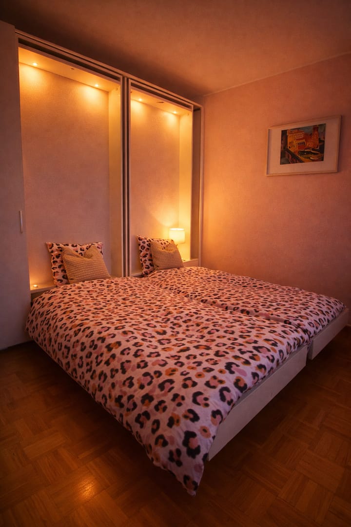 Cozy Flat In The Center Of Kleinbasel - Bâle