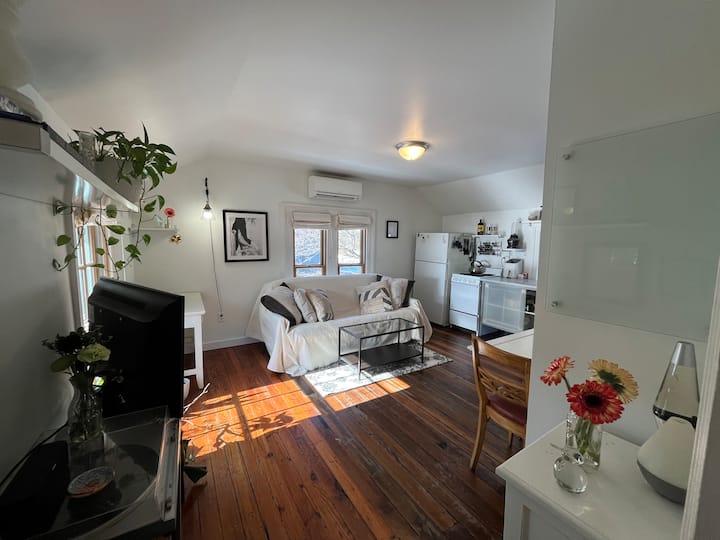 Cville City Loft W/deck ~ 2 Blocks Downtown - Charlottesville, VA