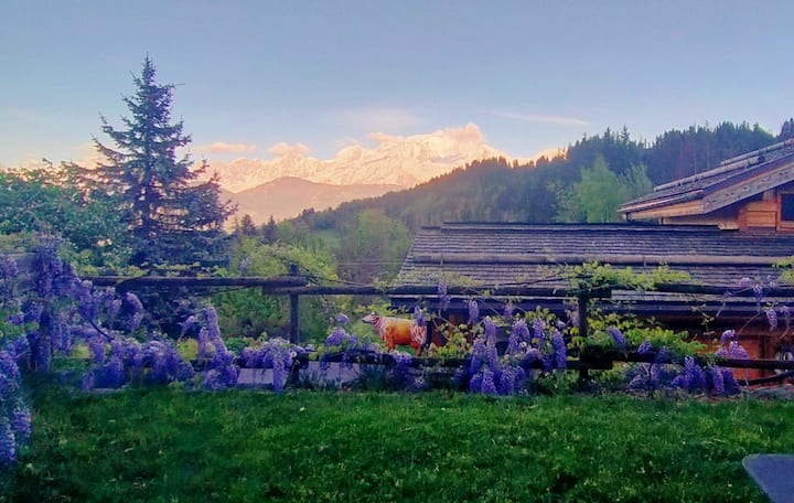 Vue Mont Blanc - Appartement Moderne Dans Chalet - Sallanches