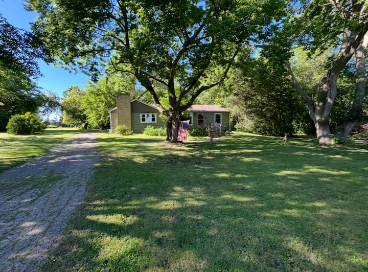 Nature Lovers Home And Dog Paradise! - Bartlett, IL
