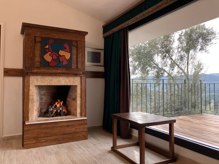 Büyülü Vadi: Manzaralı ŞöMineli Tarihi Taş Süit - Aydın