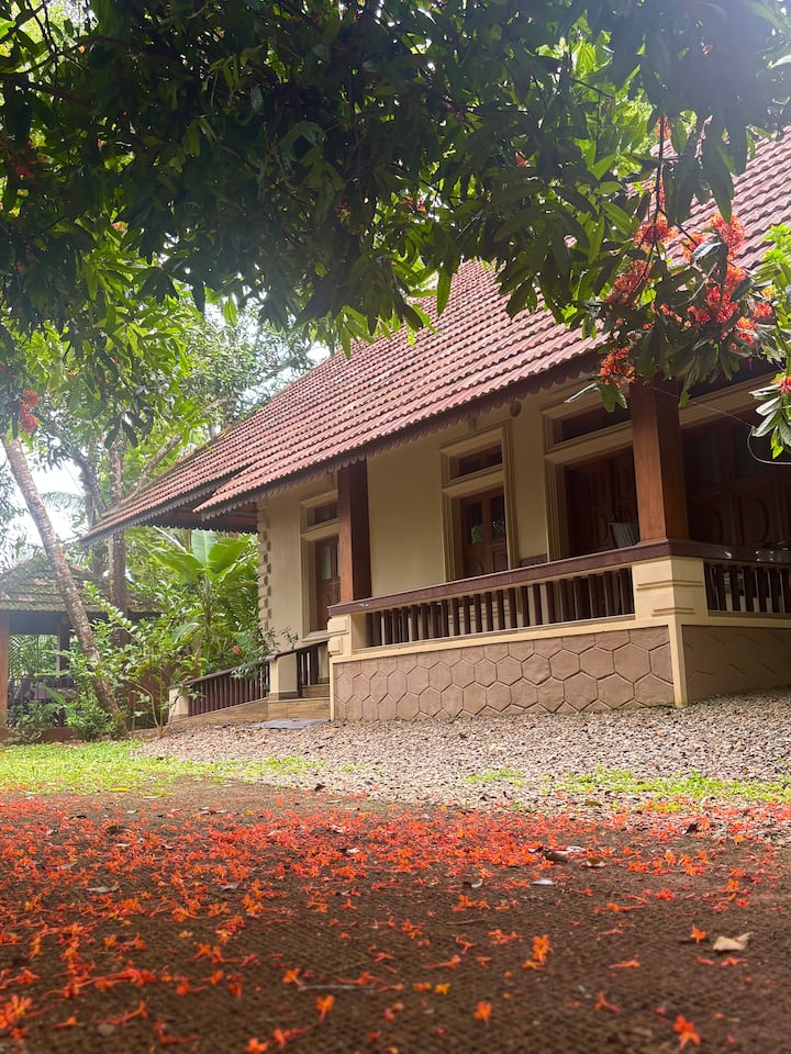Executive One Bedroom Villa - Chalakudy