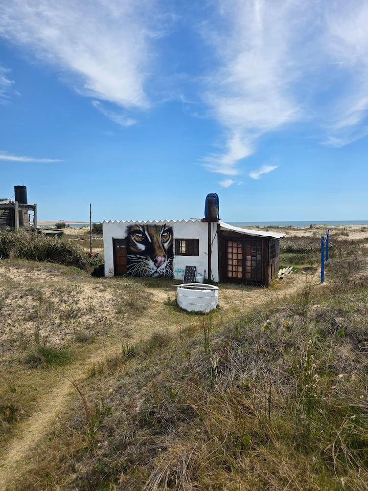 Cabo Polonio  Casa Jaguar. - Cabo Polonio