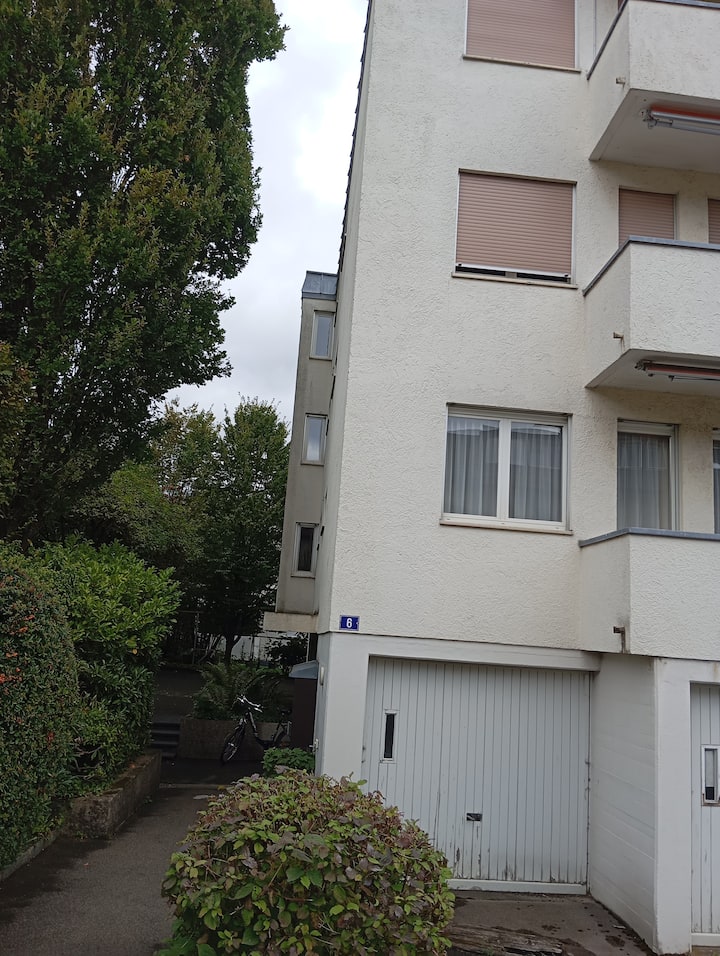Gu - Winterthur
