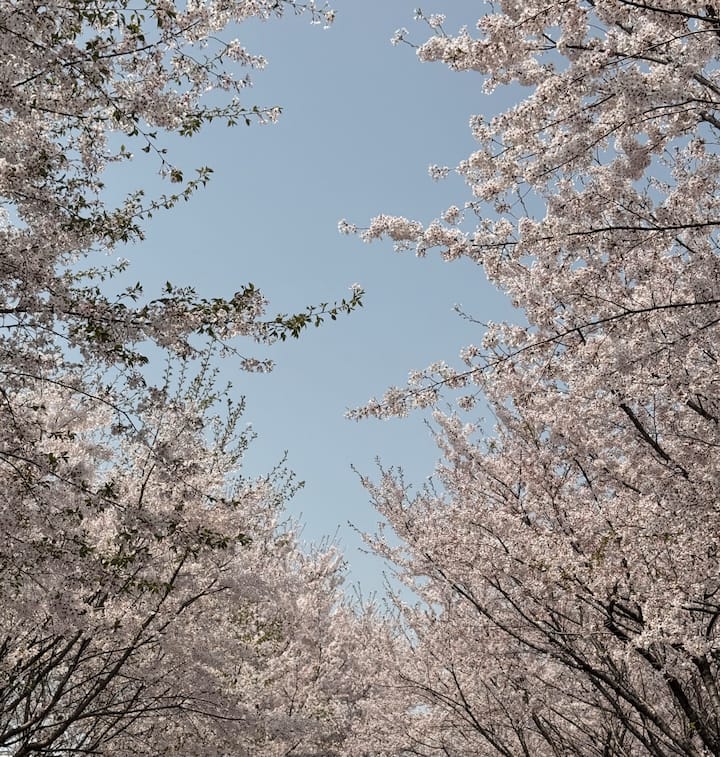 ✨Stunning House! Shinchon-hongdae-airport Railway! - Séoul