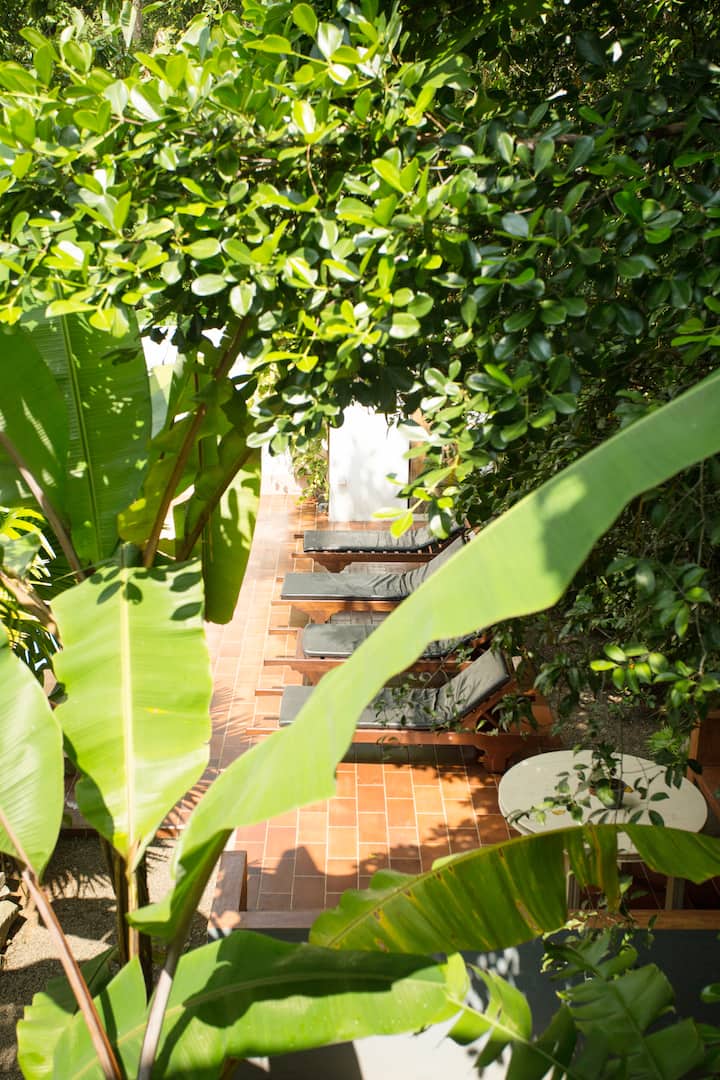 Banana Leaf Apartments - Garden Level For 4 - Hikkaduwa