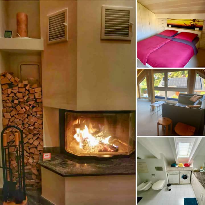 Ruhige Lage: 2 Zimmer Mit Blick, Kamin, Terrasse - Hinterzarten