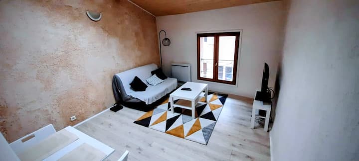 Petite Maison De Ville Atypique - Gaillac