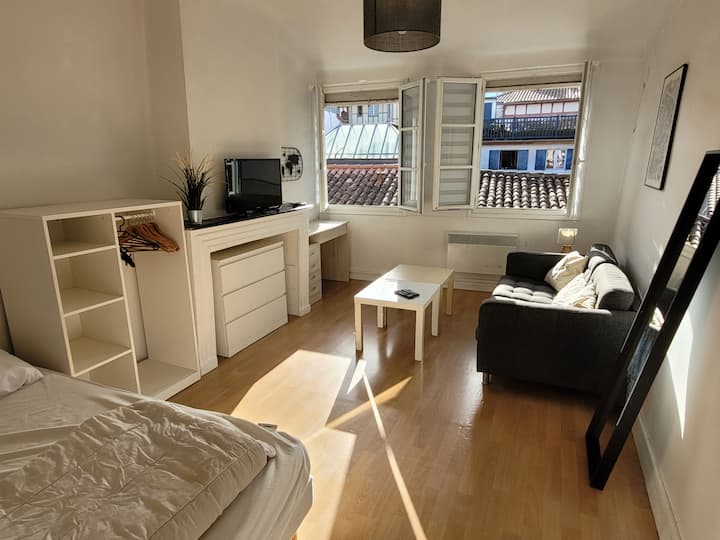 Studio Typique En Hypercentre - Bayonne