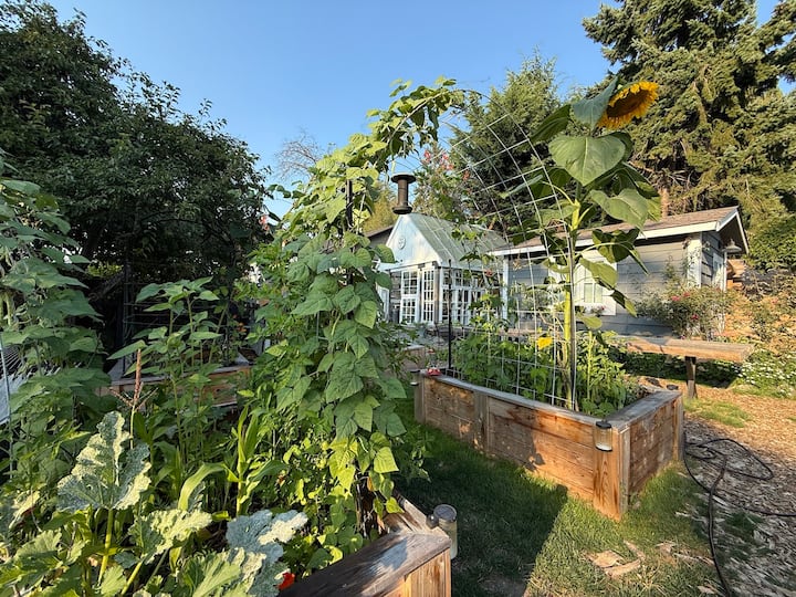 Modern Farmhouse Design, Magical Garden + Bunkie - Victoria