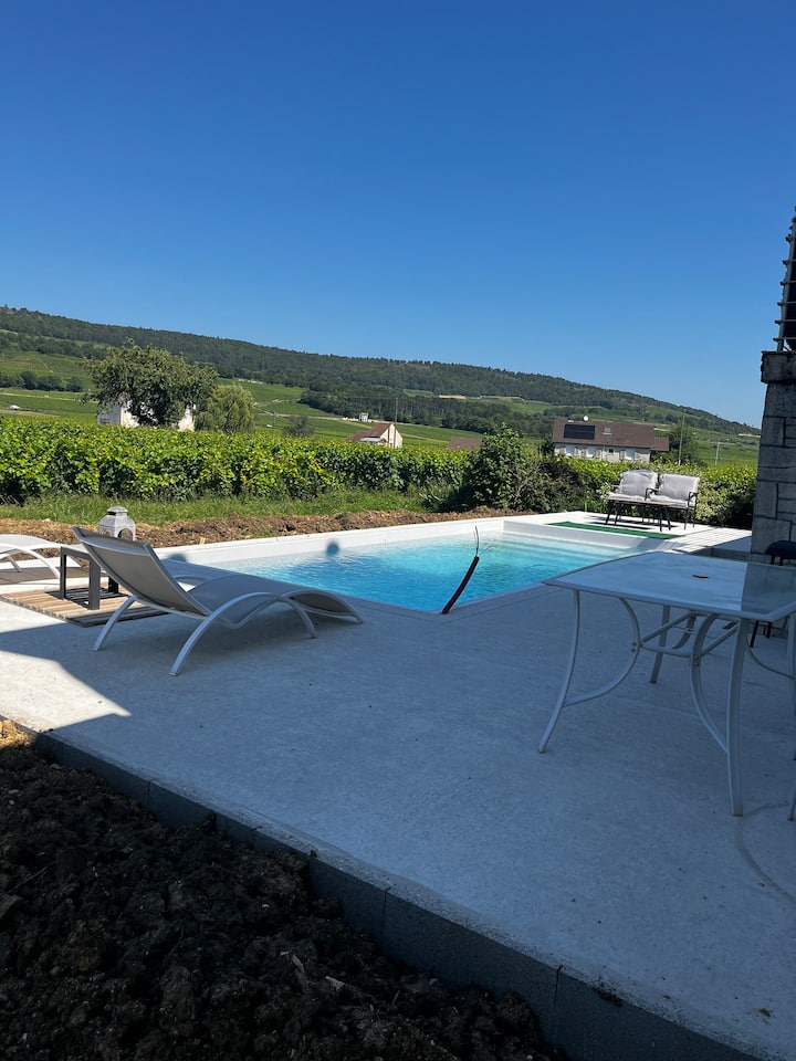 Aux Pieds Des Vignes - Chagny