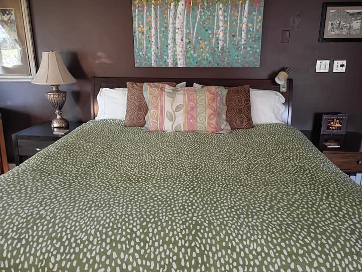 Large & Cozy, Scenic Walks, Private Entry, Jacuzzi - Burlington, VT