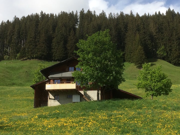 Ferienhaus Ruhig Und Idyllisch - Meiringen