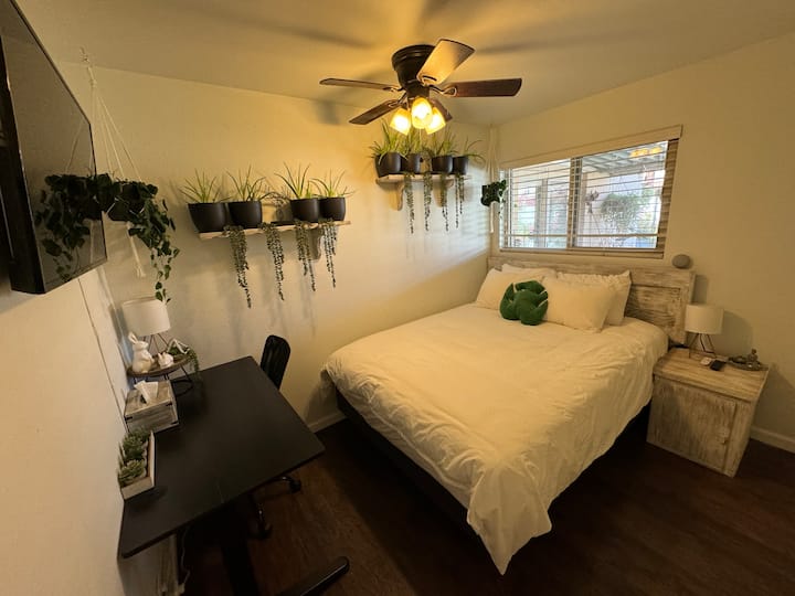 Desert Jungle - Rustic Room - Tempe, AZ