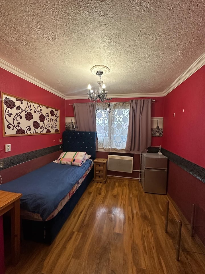 Glasgow City Luxurious Single Room - Glasgow