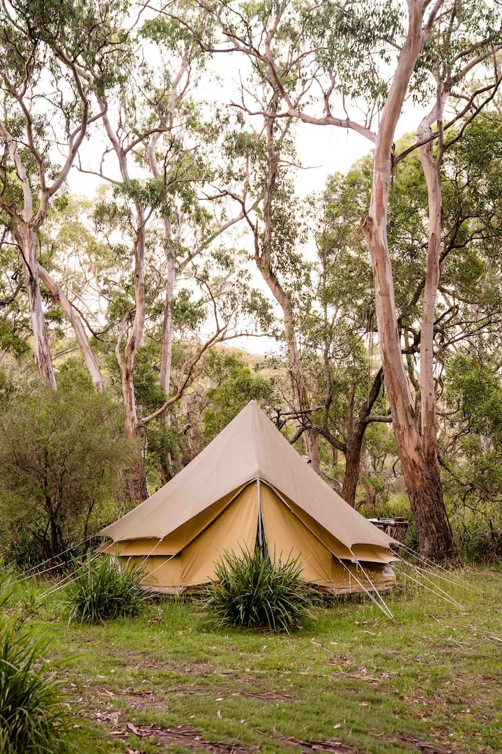 Redleaf Glamping - Birdwatchers Tent - Fitzroy Falls