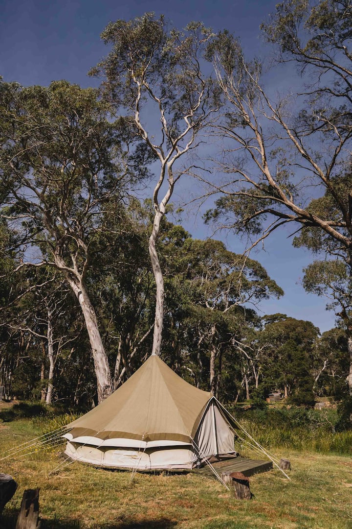 Redleaf Glamping - Frog Haven - Fitzroy Falls