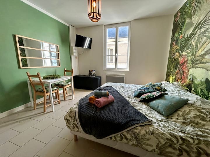 Studio Jungle ⭐️Cnpe Chinon ⭐️Vacances - Touraine