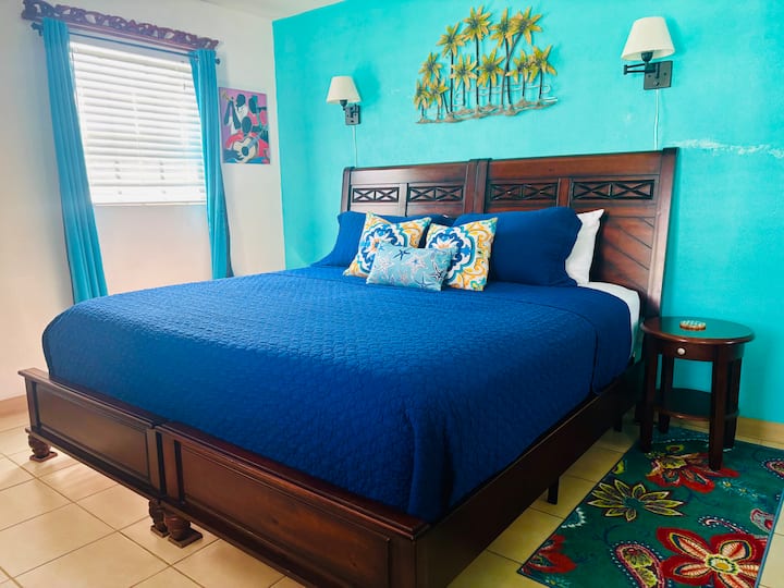 "Cozy Rooster" Artsy Studio Downtown Christiansted - Saint Croix